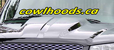 Our Hood selection has been uploaded – Super-Bee Truck Accessories